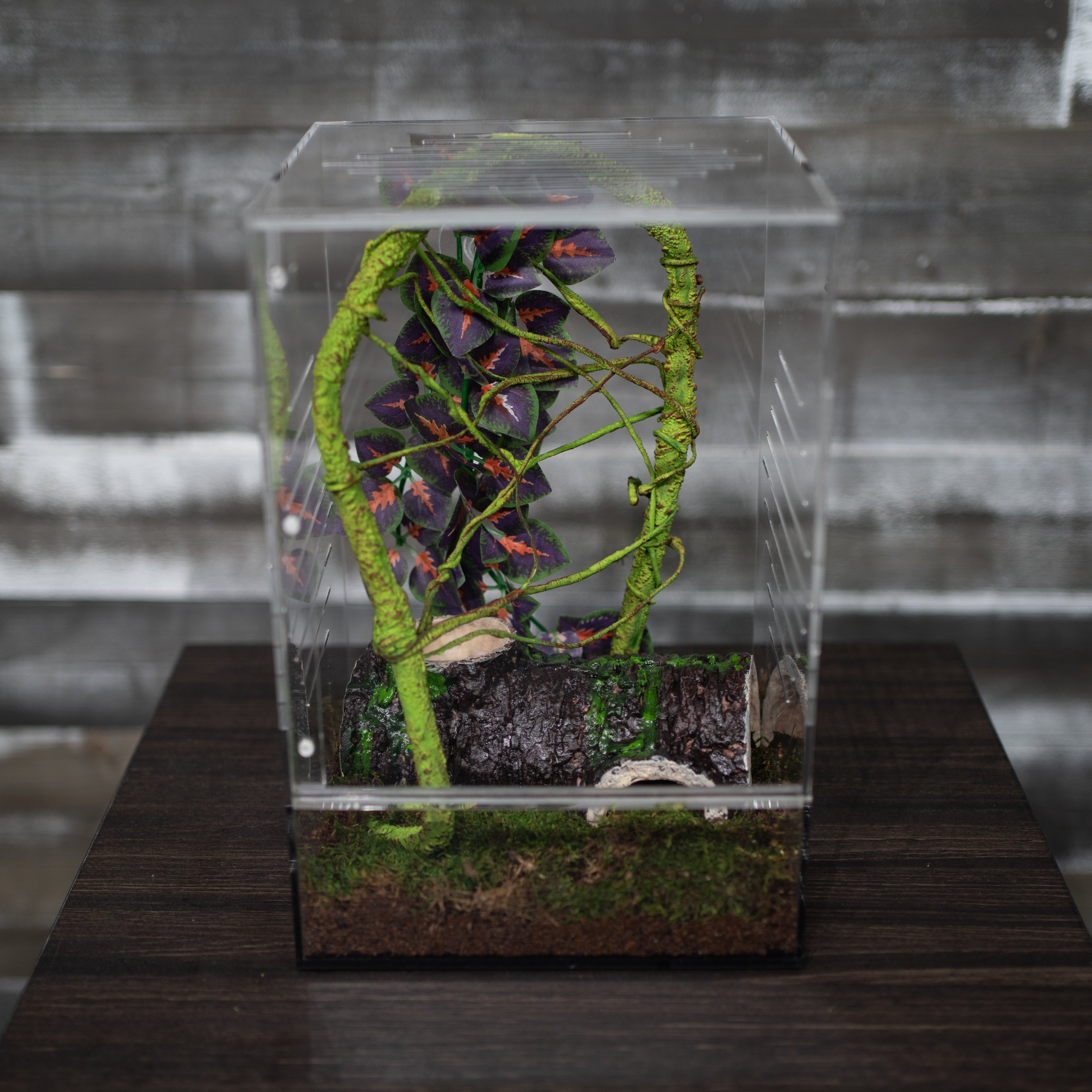 Caging Accessories – Free Gecko Giveaways