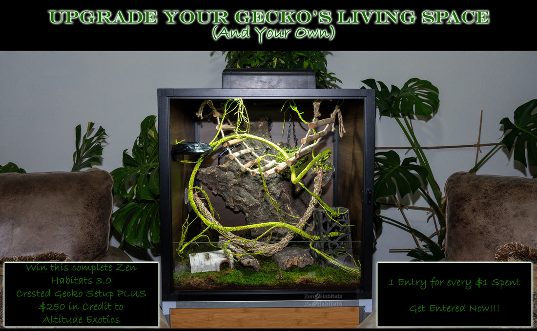 Free Gecko Giveaways