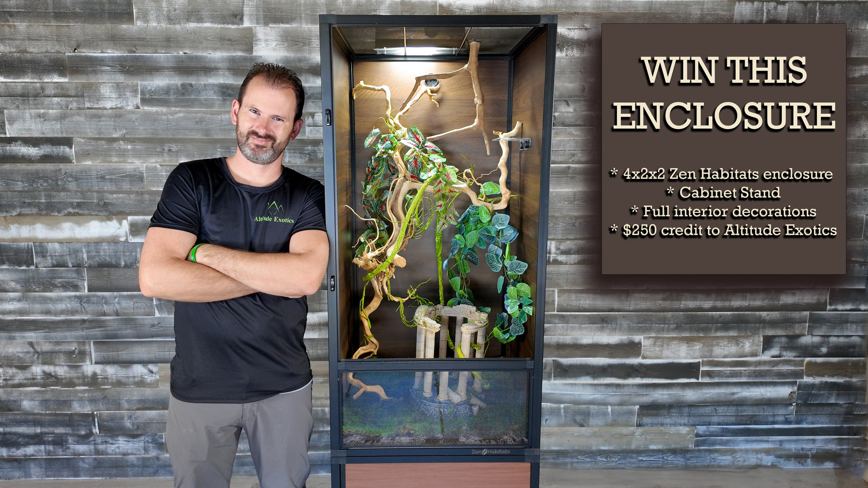 Free Gecko Giveaways